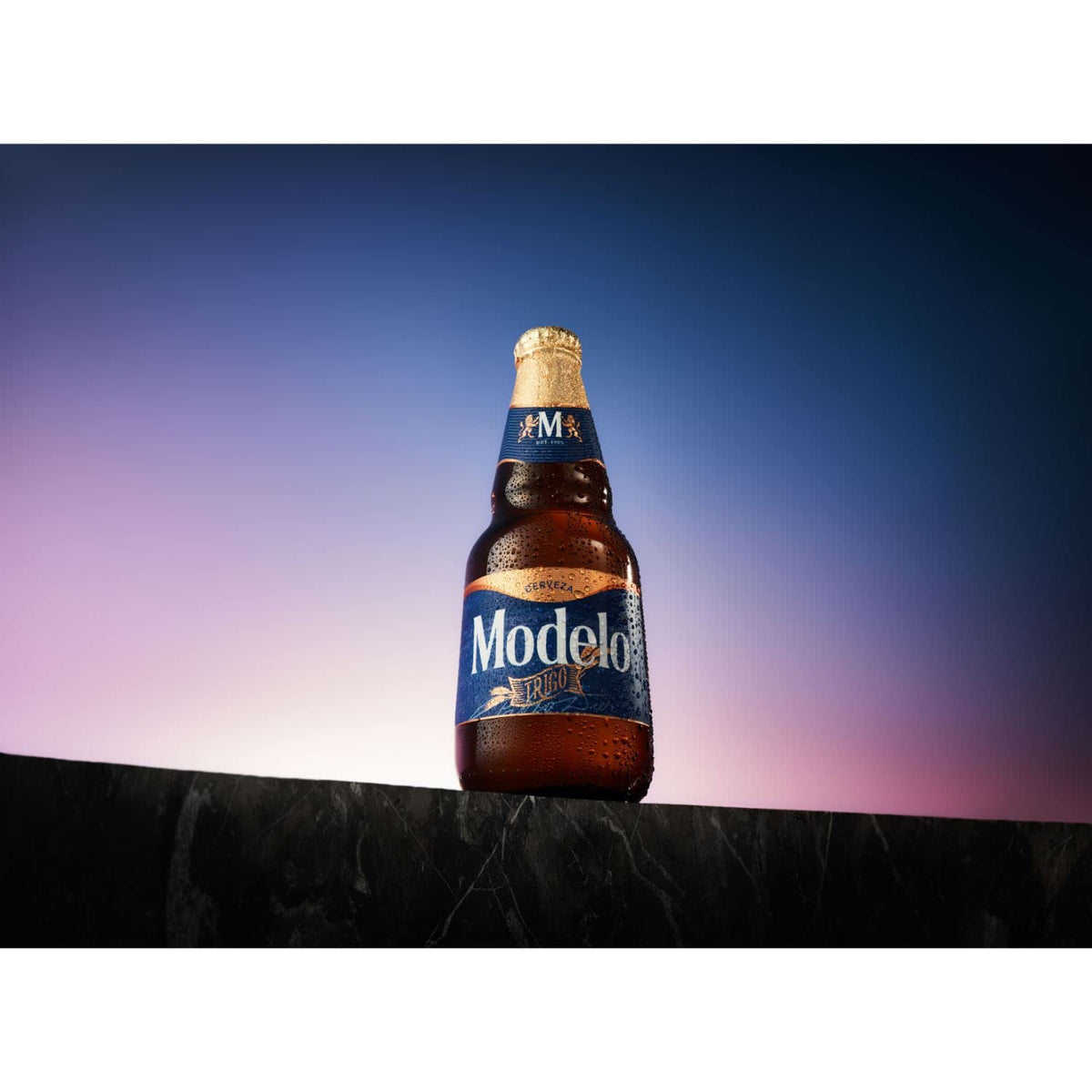 Cerveza Modelo Premium Pack 12 Botellas de 355ml, con Modelo Especial ...